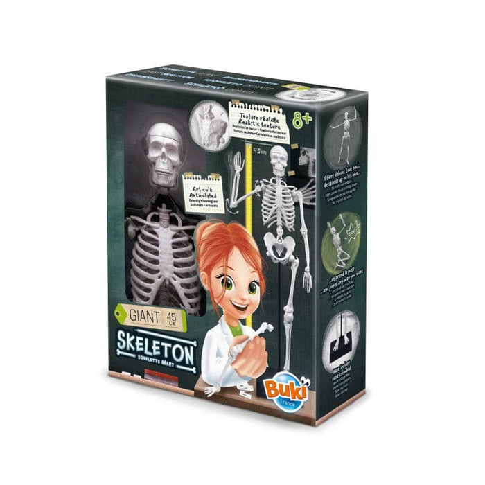 Skeleton 45cm Experiment Kit · BrightMinds UK