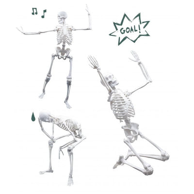 Skeleton 45cm Experiment Kit · BrightMinds UK