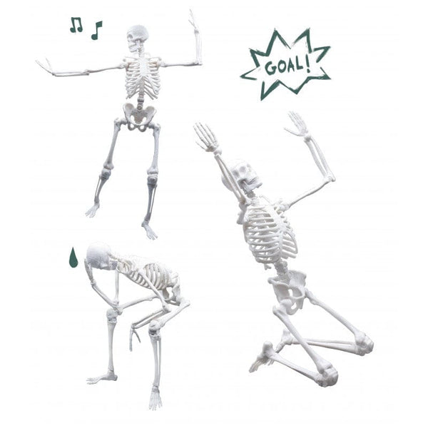 Skeleton 45cm Experiment Kit · BrightMinds UK