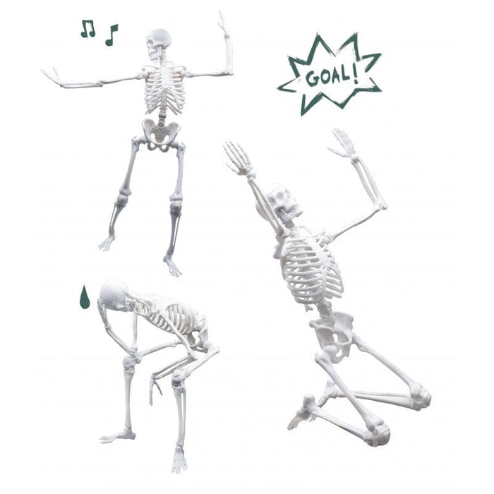 Skeleton 45cm Experiment Kit · BrightMinds UK