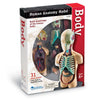 Learning Resources Human Body Anatomy Model | Learning Resources ...